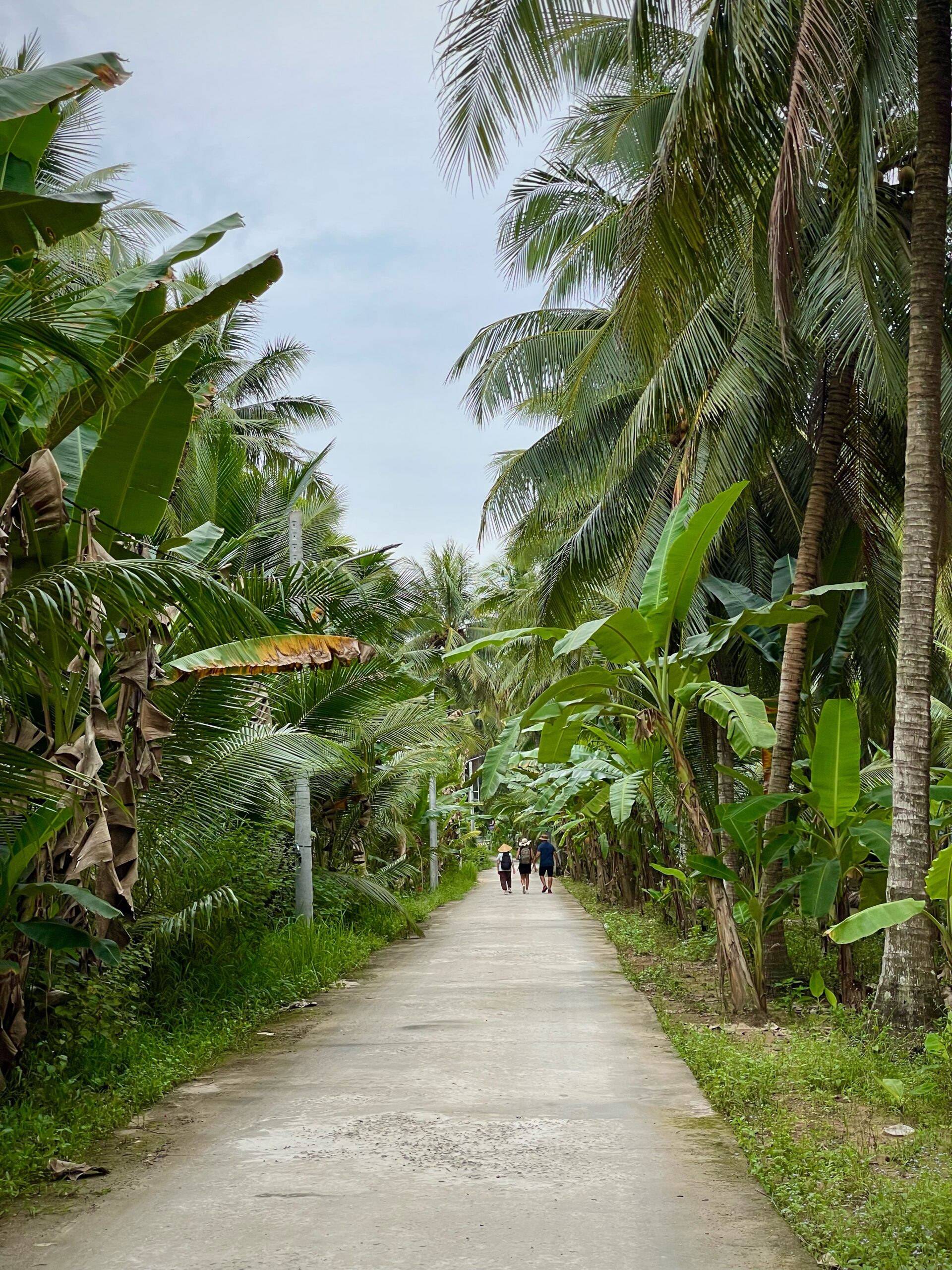 Pandák a világ körül - Pandák a világ körül